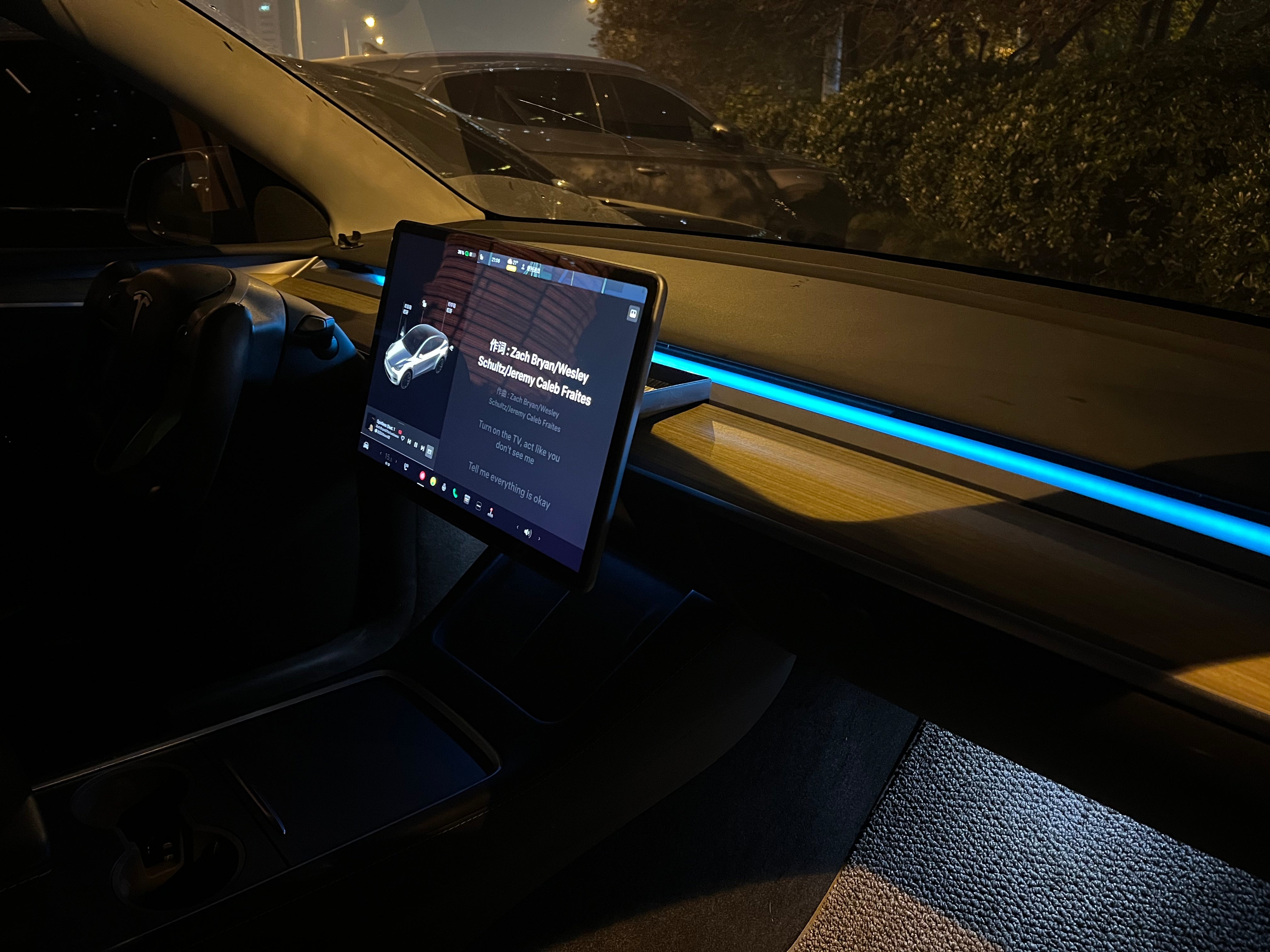 Tesla ambient light for Model3 ModelY (2019-2024) Platinum kit